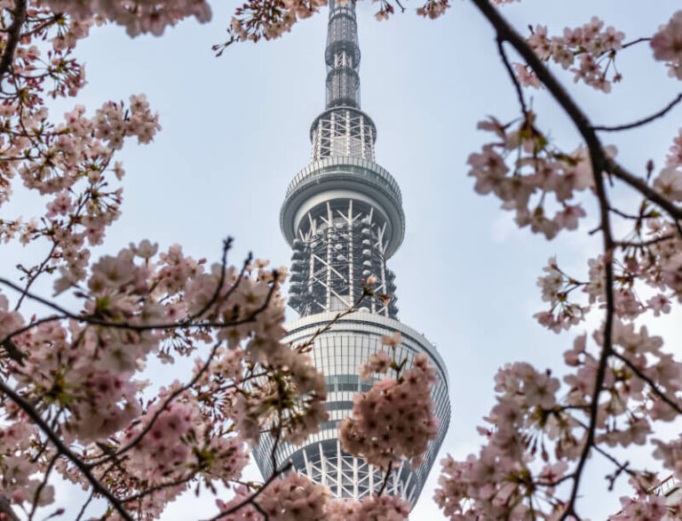 What Are The Top Attractions in Tokyo I Can’t Miss? – Fun Loving People